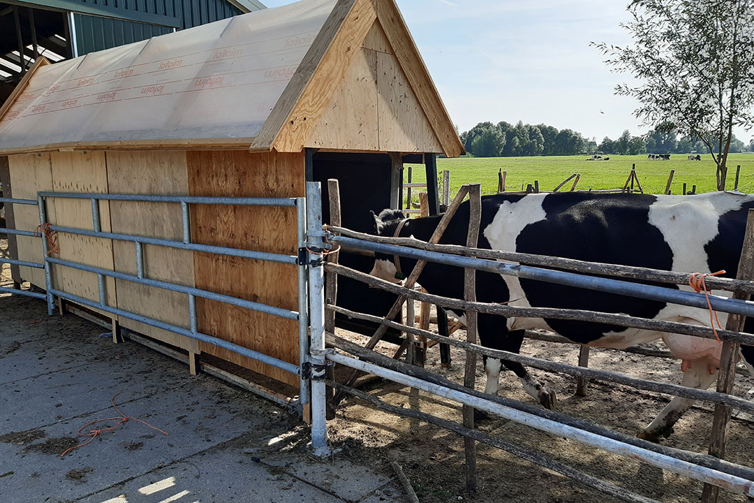 Fly trap farm store